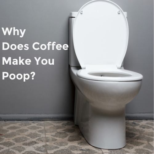 Why Does Coffee Make You Poop - Henry’s House Of Coffee