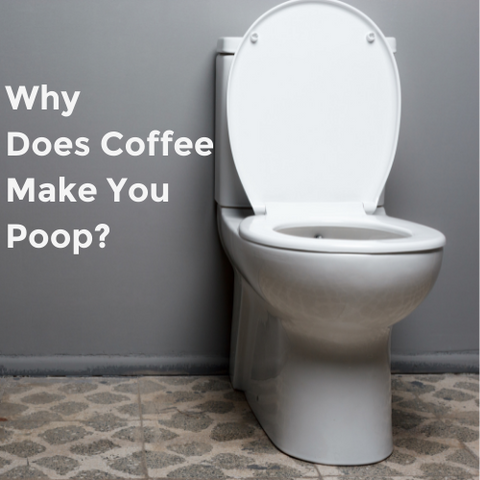 Why Does Coffee Make You Poop - Henry’s House Of Coffee